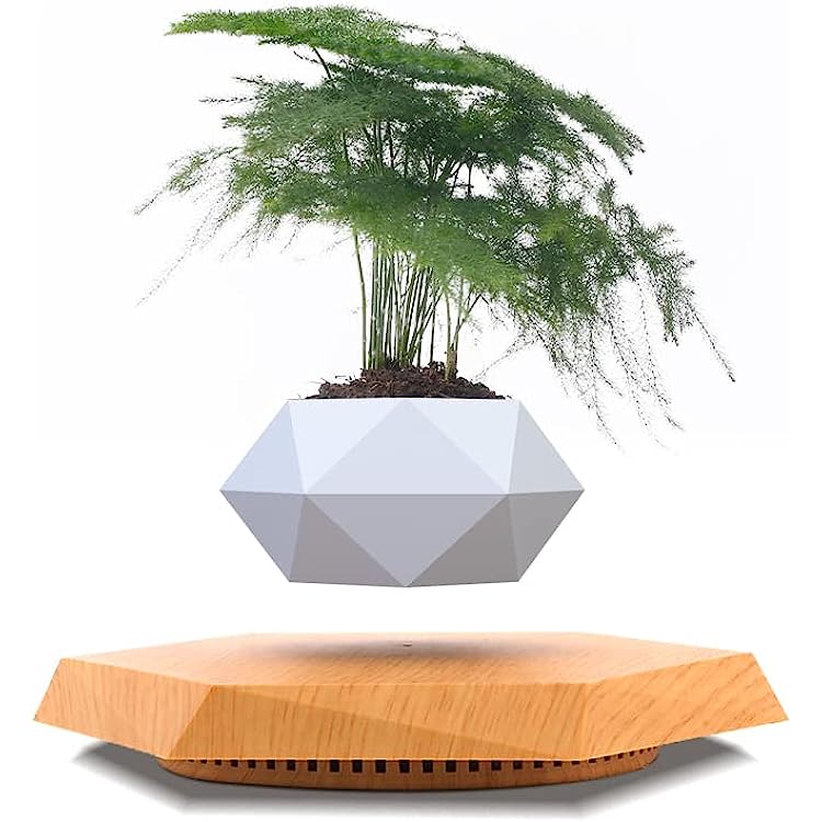 Magnetic Levitating Bonsai Pot – flyingcarts